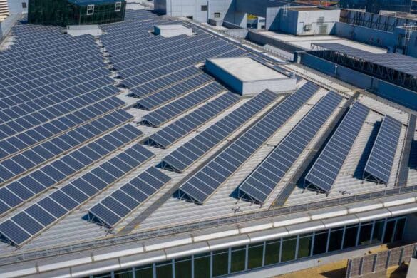 Cena elektrike 2026 – primerjava cen GEN-I, Petrol, ECE,
